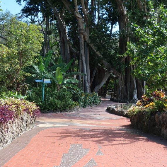 Pinecrest park - Miami Sites