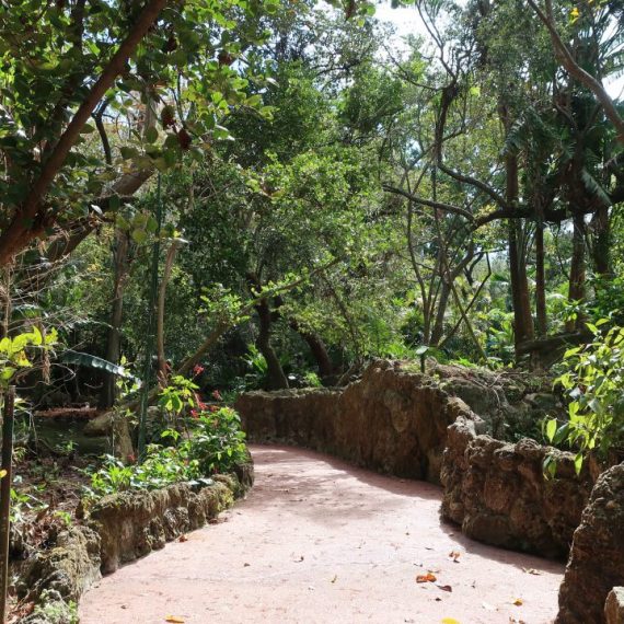 Pinecrest park - Miami Sites